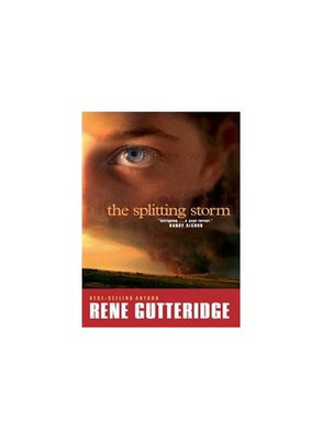 The Splitting Storm - VERY GOOD 9780842386029| eBay