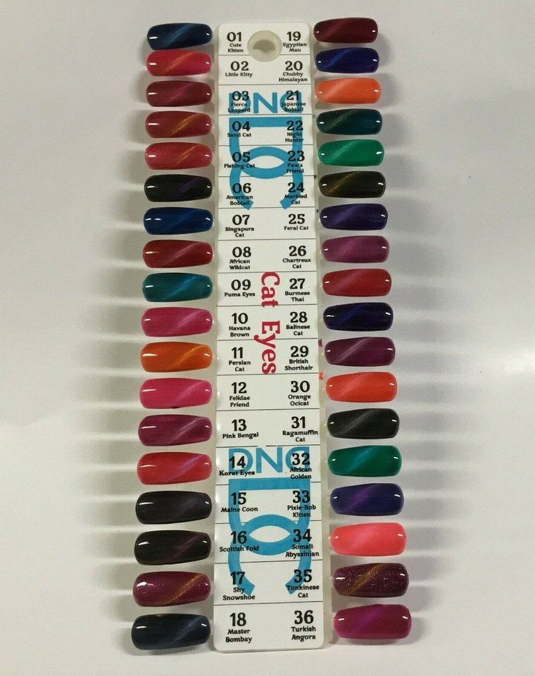 DC&DND Daisy Color Chart Gel Polish Color Sample Chart Palette Display ...