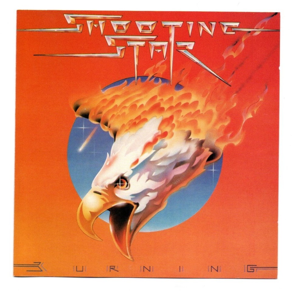 SHOOTING STAR: BURNING CD AOR ROCK V&R RECORDS 96883402420 | eBay
