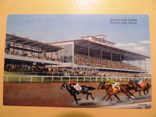 Scarborough Downs Race Track Scarborough Maine vintage linen postcard ...