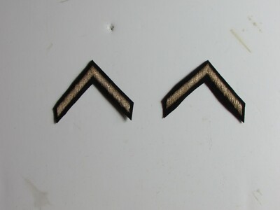 e3000 WW1 US Navy Overseas Service/Wound Chevron 6 month or 1 Wounds (1 ...