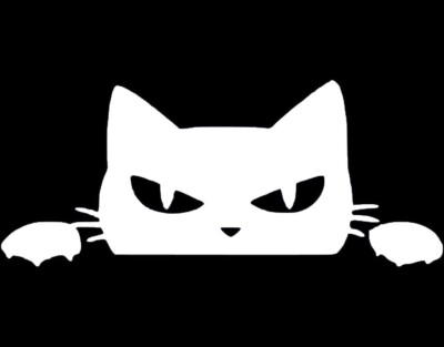 Angry Cat Peeking White Vinyl Graphic Decal Car Truck Window Laptop ...