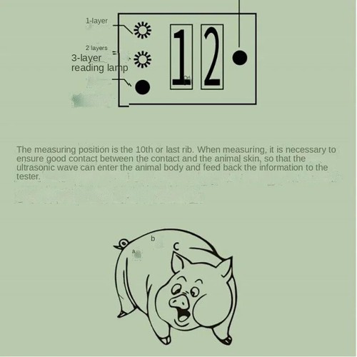 Backfat Thickness Measuring Instrument for Breeding Pigs Veterinary A ...