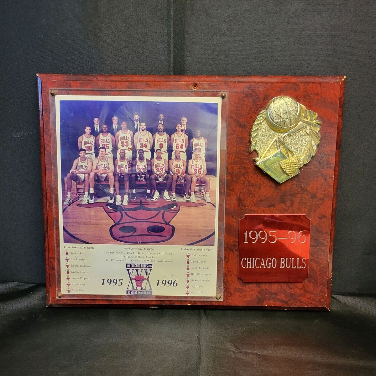 1995-96 Chicago Bulls Plaque Team Photo Engraved Basketball 1995-96 Chicago Bulls Plaque Team Photo Engraved Basketball
