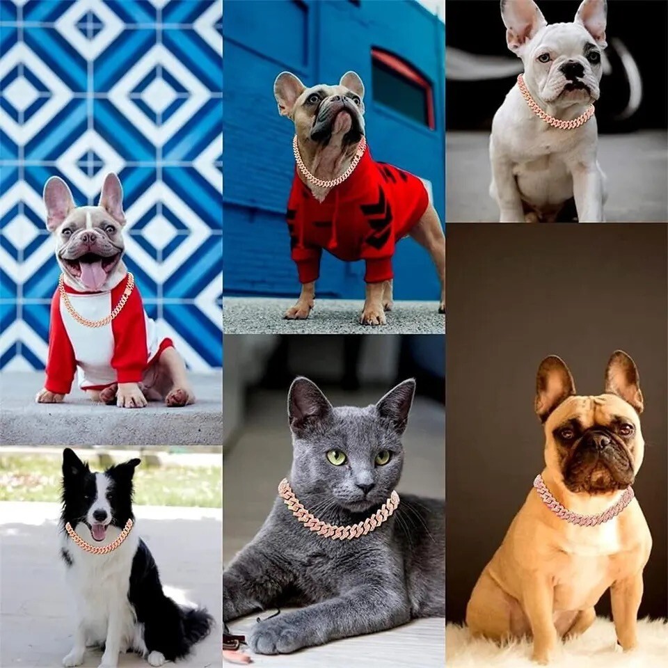 Dog Show Collar Luxury Chain 12mm Harness Metal with Diamond Frenchie ...