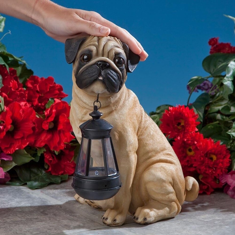 Realistic Fawn Pug Puppy Dog Garden Sculpture Holding Solar LED Lighted ...