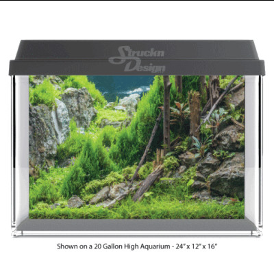 Detailed Rocky Mountain Polyester Fish Tank Glass Backdrop Aquarium ...