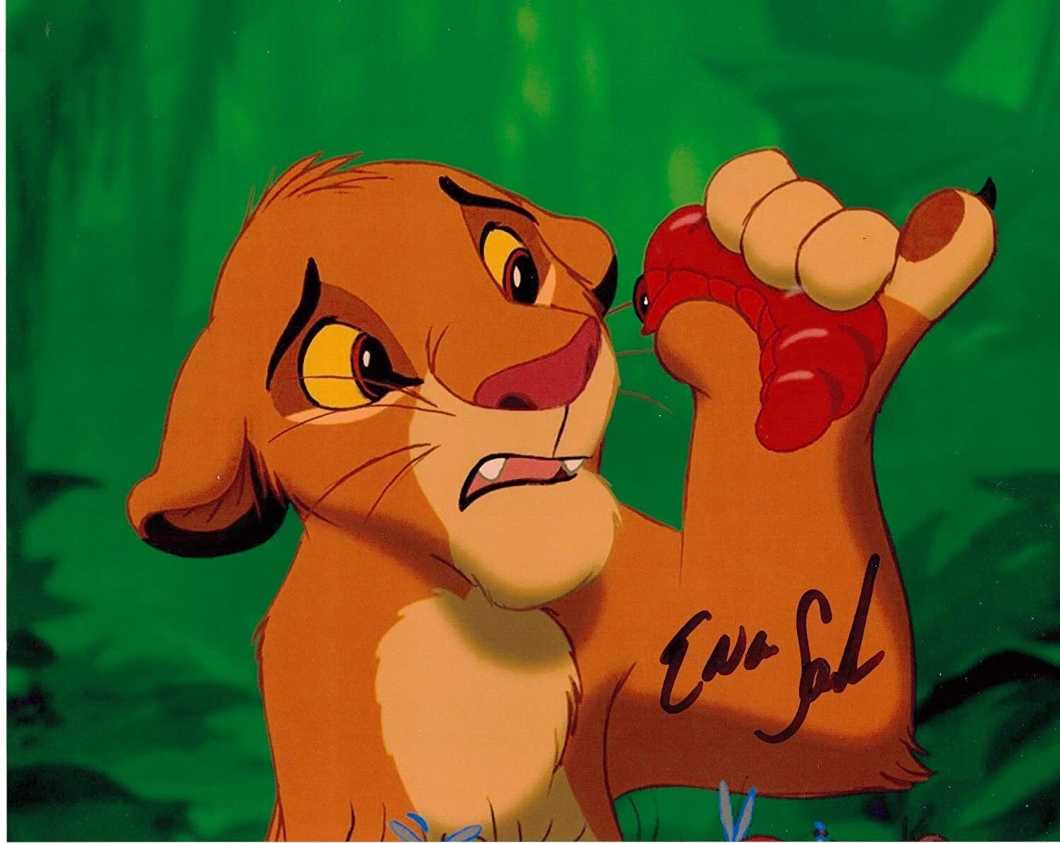 Evan Saucedo signed autographed 8x10 Photo Simba Singing Voice The Lion ...