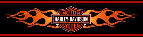 Genuine HARLEY DAVIDSON Motorcycles Logo Shield Orange Flames Wallpaper ...