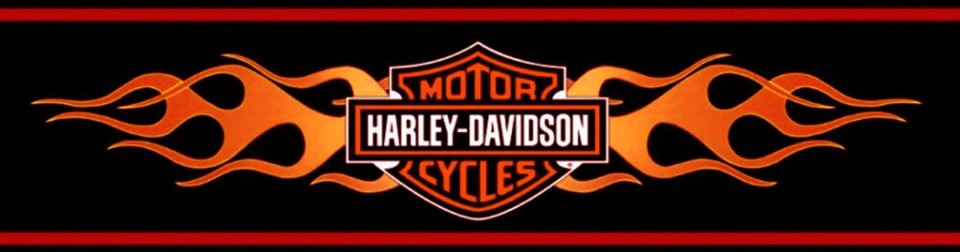Genuine HARLEY DAVIDSON Motorcycles Logo Shield Orange Flames Wallpaper ...