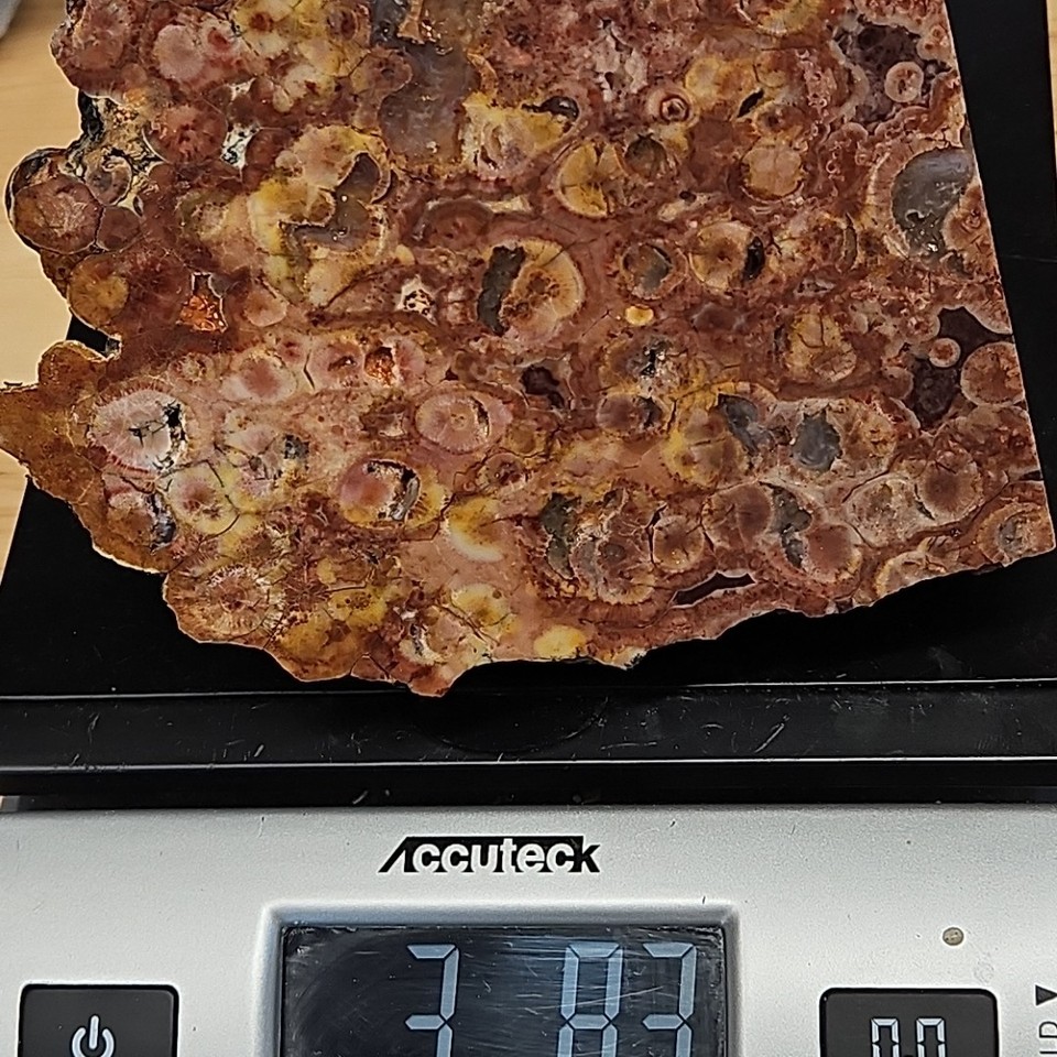 new vein of Rhyolite rough similar to Birds Eye jasper beautiful color ...