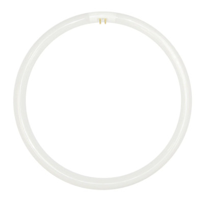 FSL T5 Circular Fluorescent G10q 220V 40W/865 300mm 254164 | eBay Australia