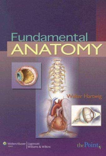 Fundamental Anatomy by Walter Carl Hartwig 9780781768887| eBay
