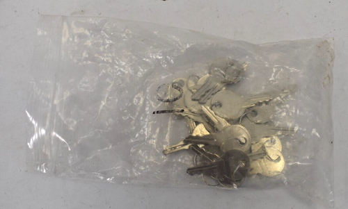 Lot of 20 Southco CH751 Keys For RV Campers Cabinets Push Locks Nickel ...