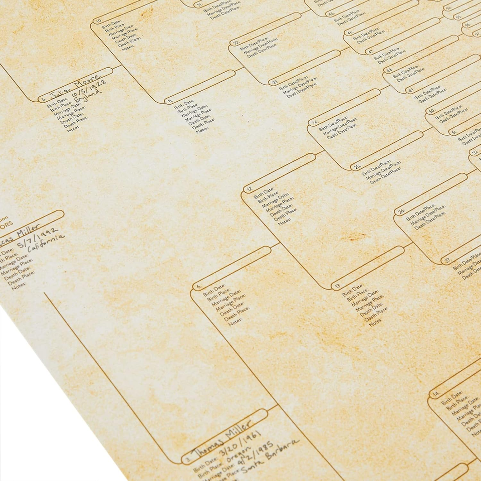15 Pack Family Tree Charts to Fill In Eight Generation Genealogy Poster ...