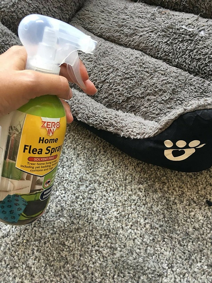 Zero In Home Flea Treatment Eggs Larvae Pet Dog Cat Germs Killer Spray ...