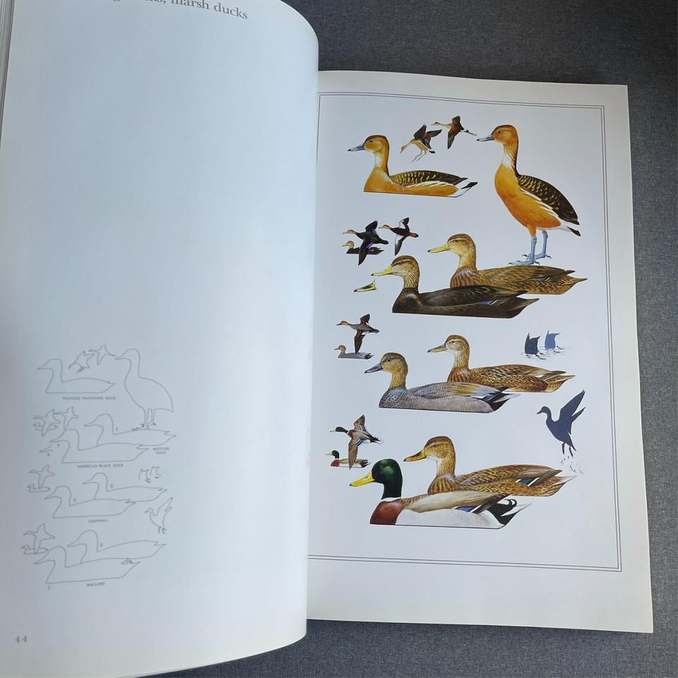 Volumes The Field Guide Art of Roger Tory Peterson, 1990 Easton Press ...