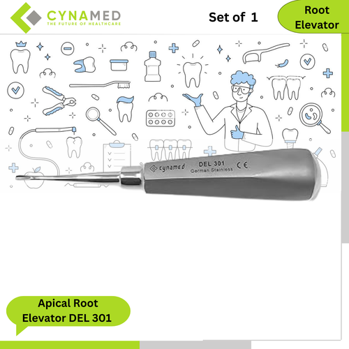 Cynamed Dental Stainless Steel Apical Root Elevator DEL 301 | eBay
