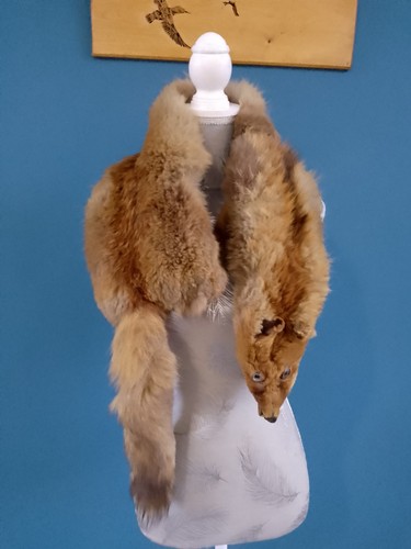 VINTAGE 1920s REAL FOX FUR STOLE WHOLE BODY SATIN LINED CLASP QUALITY ...