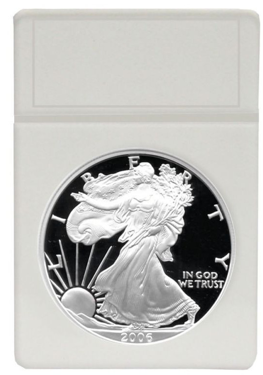 BCW Lot of 25 Display Slab Inserts - White - Silver Eagle (#CS125) | eBay