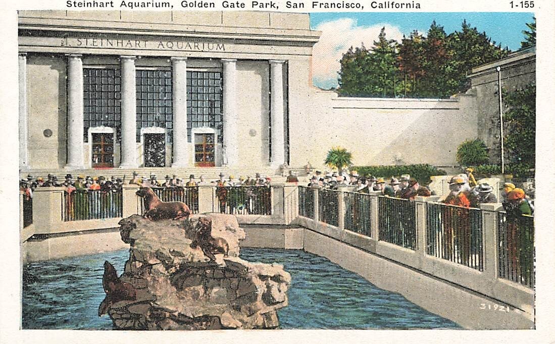 Golden Gate Park Aquarium Steinhart Aquarium California Academy Of