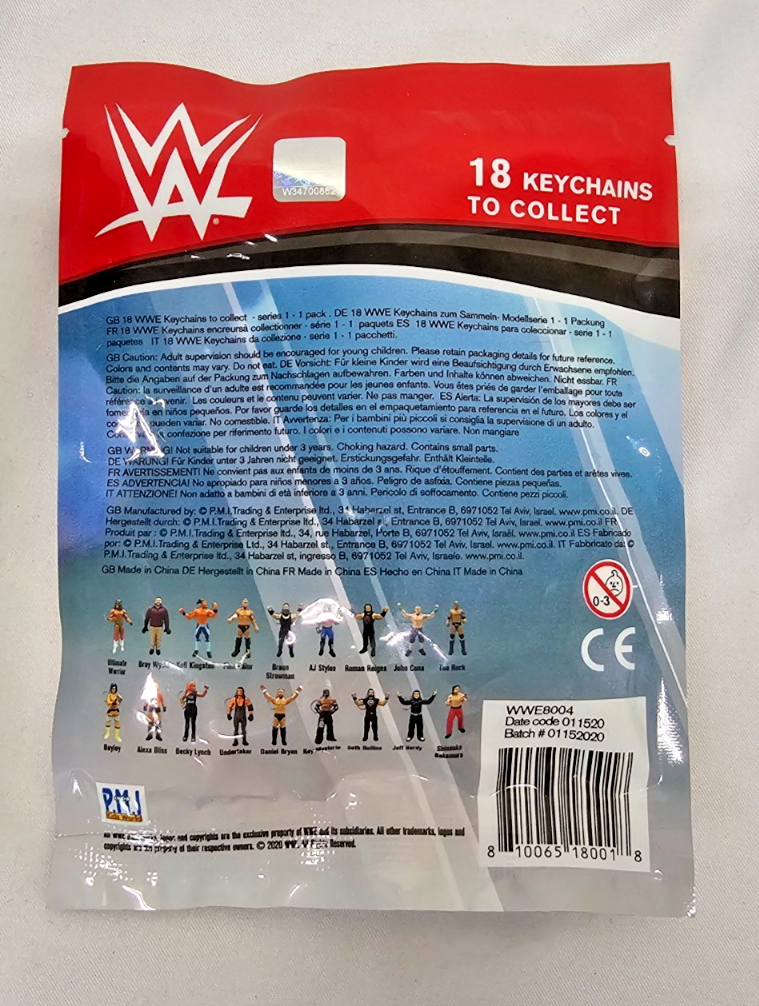 WWE SUPERSTAR KEYCHAINS - BLIND PACKS - NIP (2020) | eBay