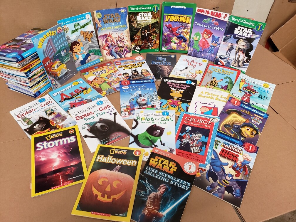 Lot of 10 Level 1 BOOKS FOR BOYS~RL~Ready to-I Can Step into Learn Read ...