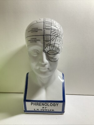 Vintage 12" Porcelain Phrenology Head Bust by L. N. Fowler Authentic ...