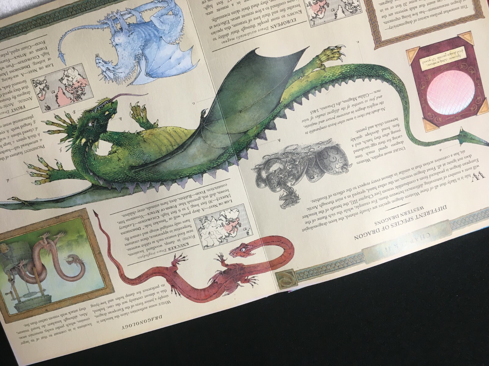 Knucker Dragonology