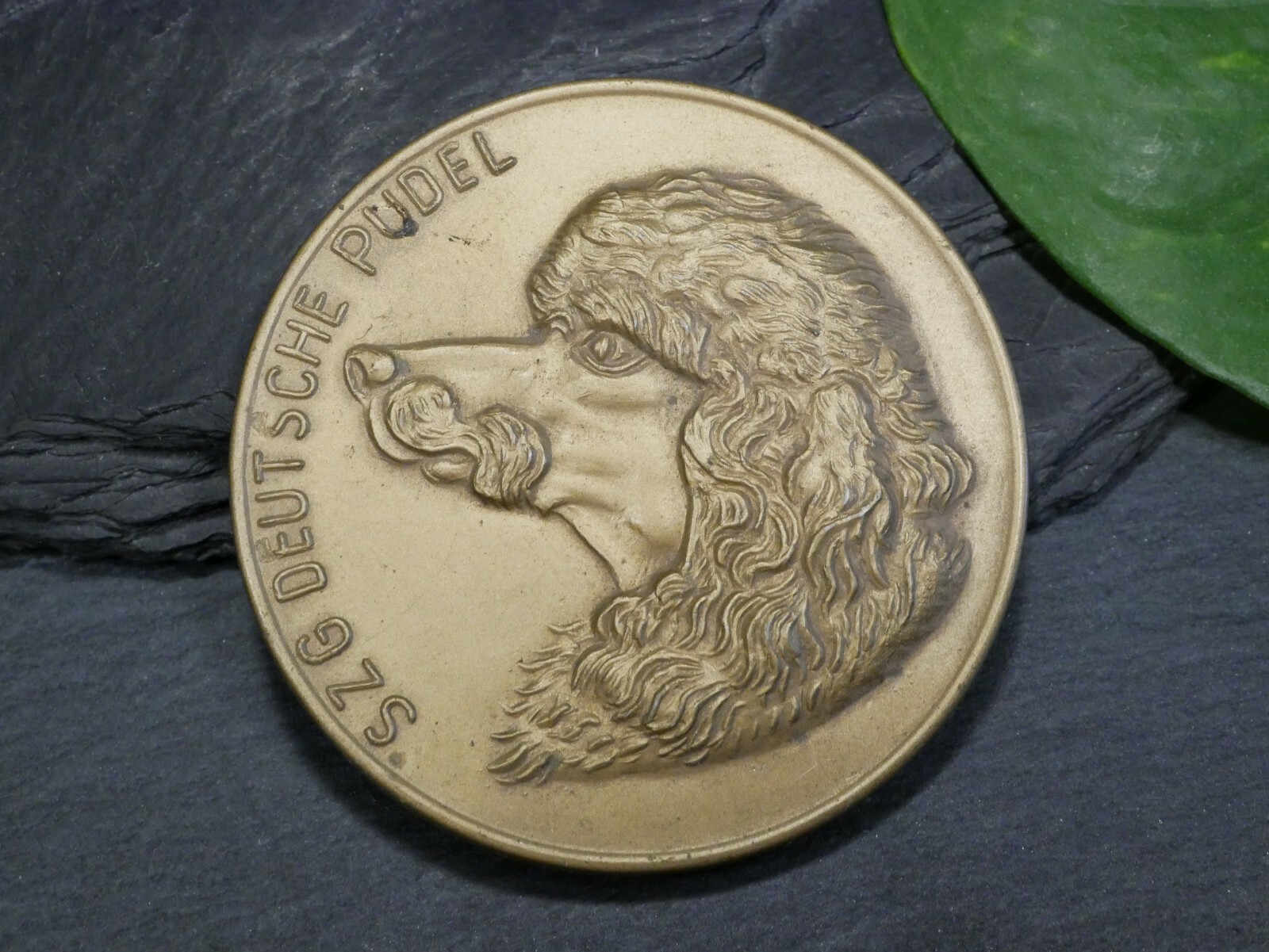 Runde Medaille SZG Deutsche Pudel Hund Spezial Zucht Gemeinschaft ...