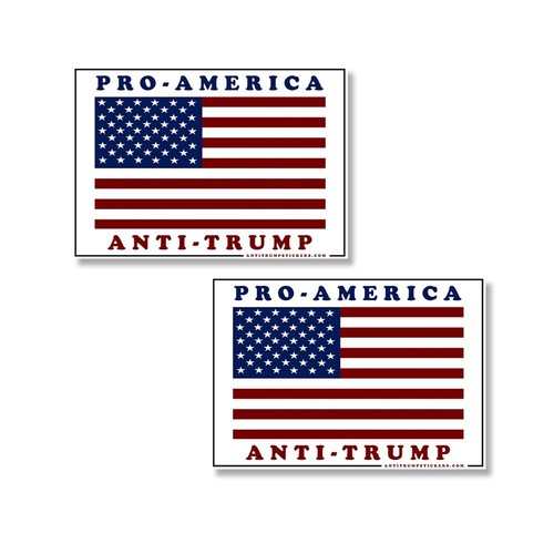 PRO AMERICA Anti TRUMP Decals USA BUMPER STICKER 2 PACK 6" wide | eBay