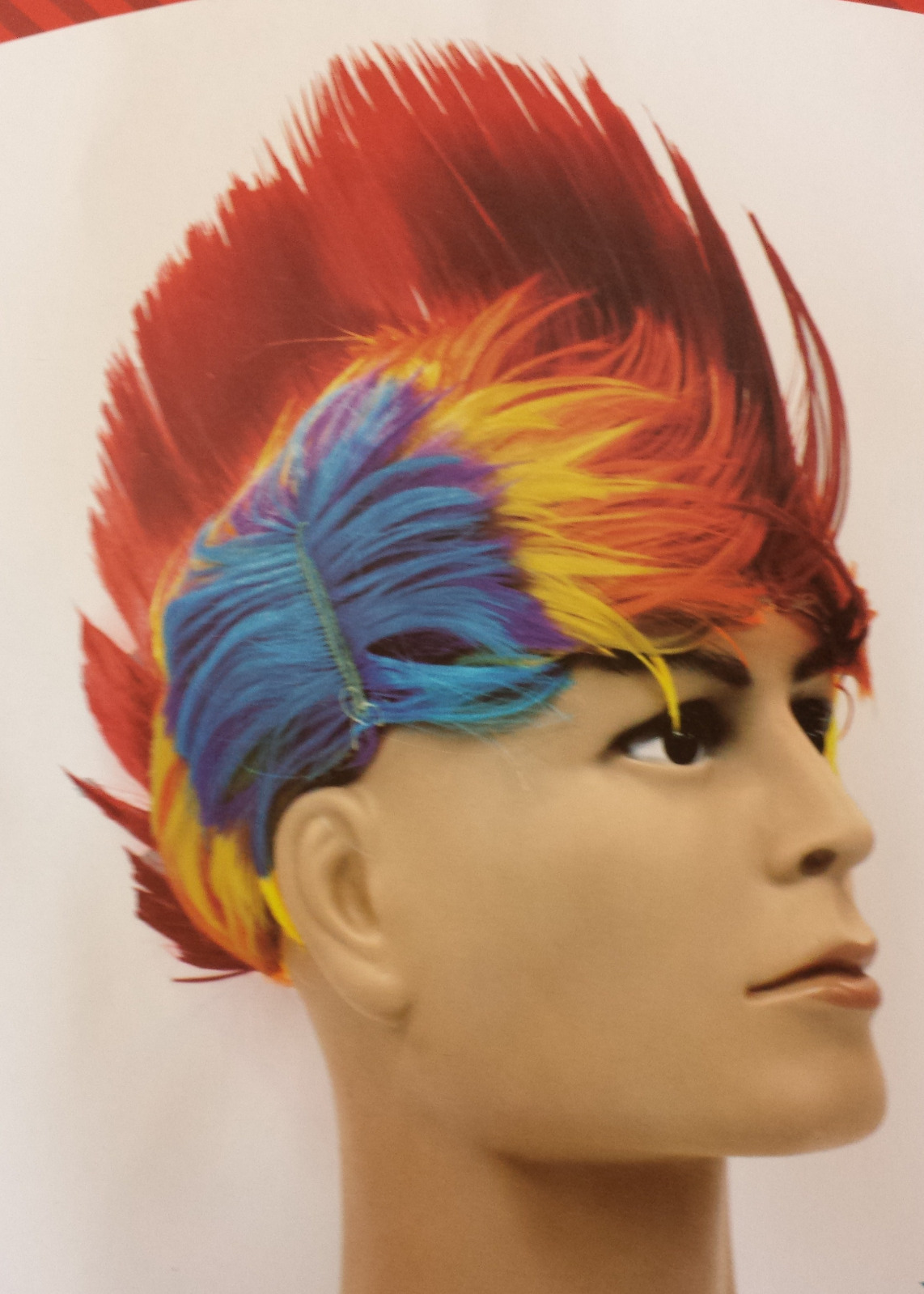 Adult Rainbow Mohican Mohawk Wig 80' Punk Rock Lesbian Gay Pride | eBay ...