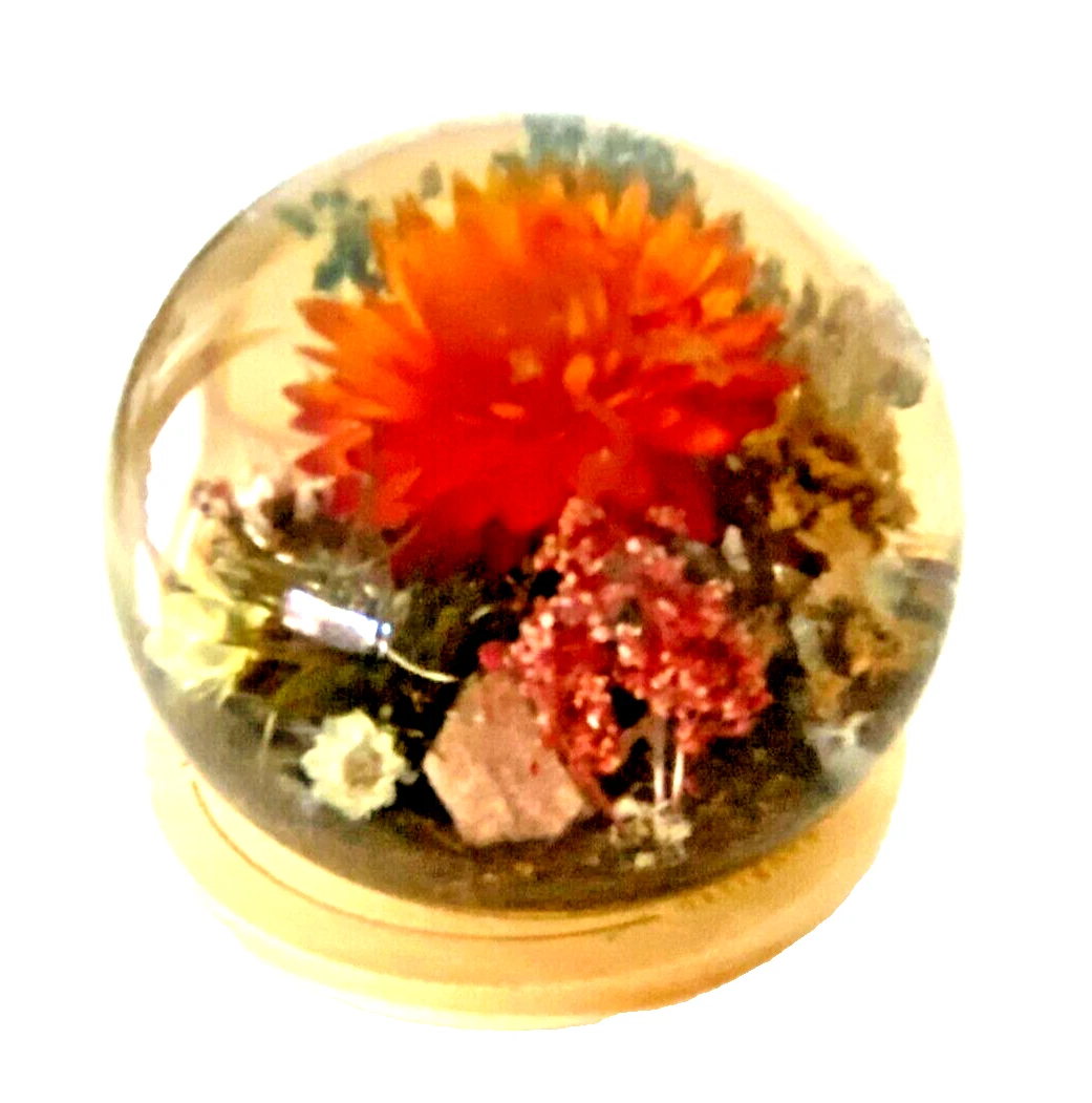 Dried Flower Paperweight | Best Flower Site