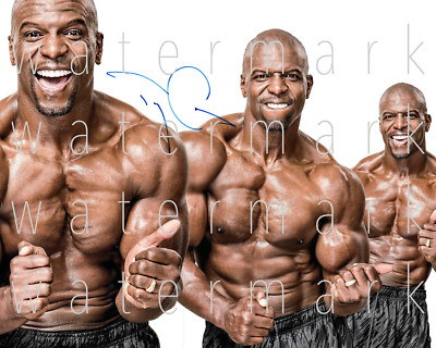 Terry Crews signed 8X10 print photo poster autograph RP | eBay