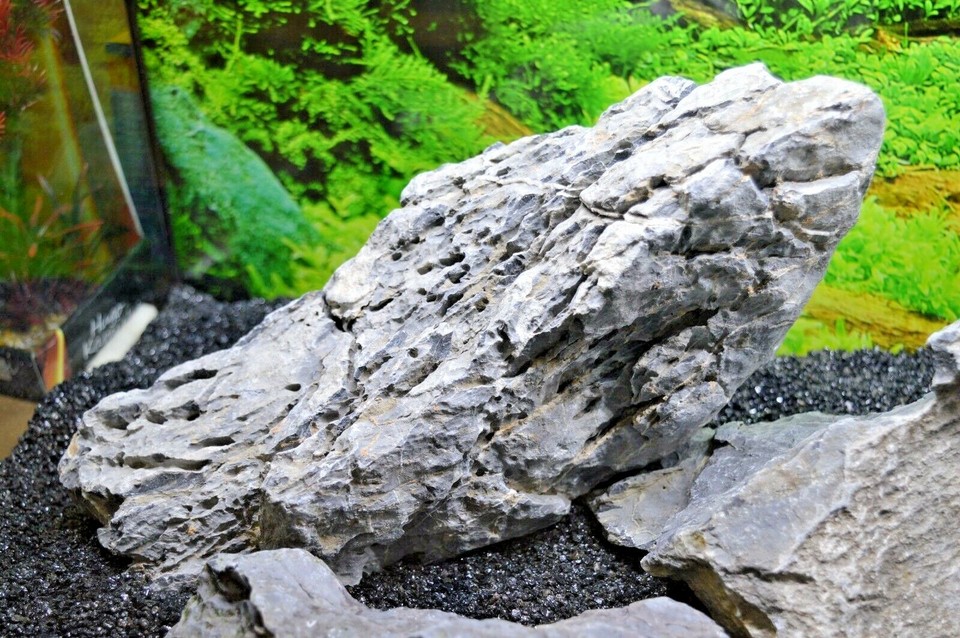 5 KG NATURAL Ryuoh STONE Seiryu FOR AQUARIUM AQUASCAPING IWAGUMI, ROCK ...