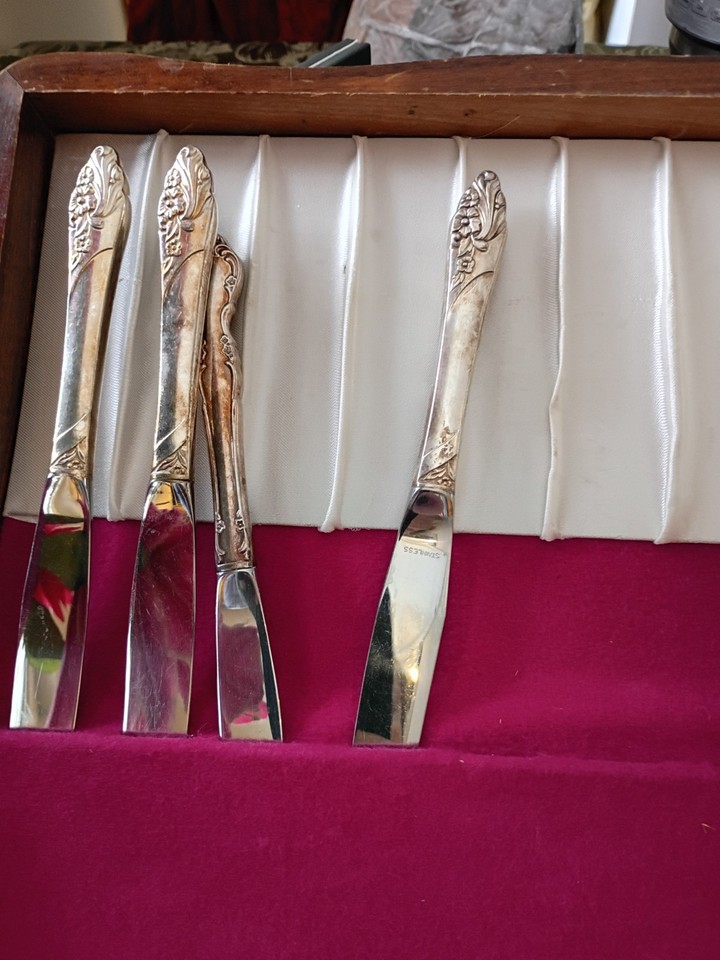 1950's Oneida Community Evening Star Silverplate Flatware. 24 Pieces ...