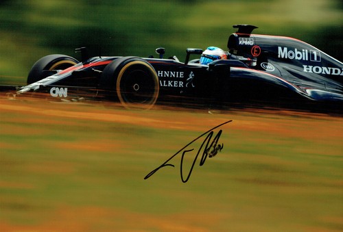 Fernando ALONSO Autograph SIGNED 12x8 Race Photo McLAREN AFTAL COA | eBay