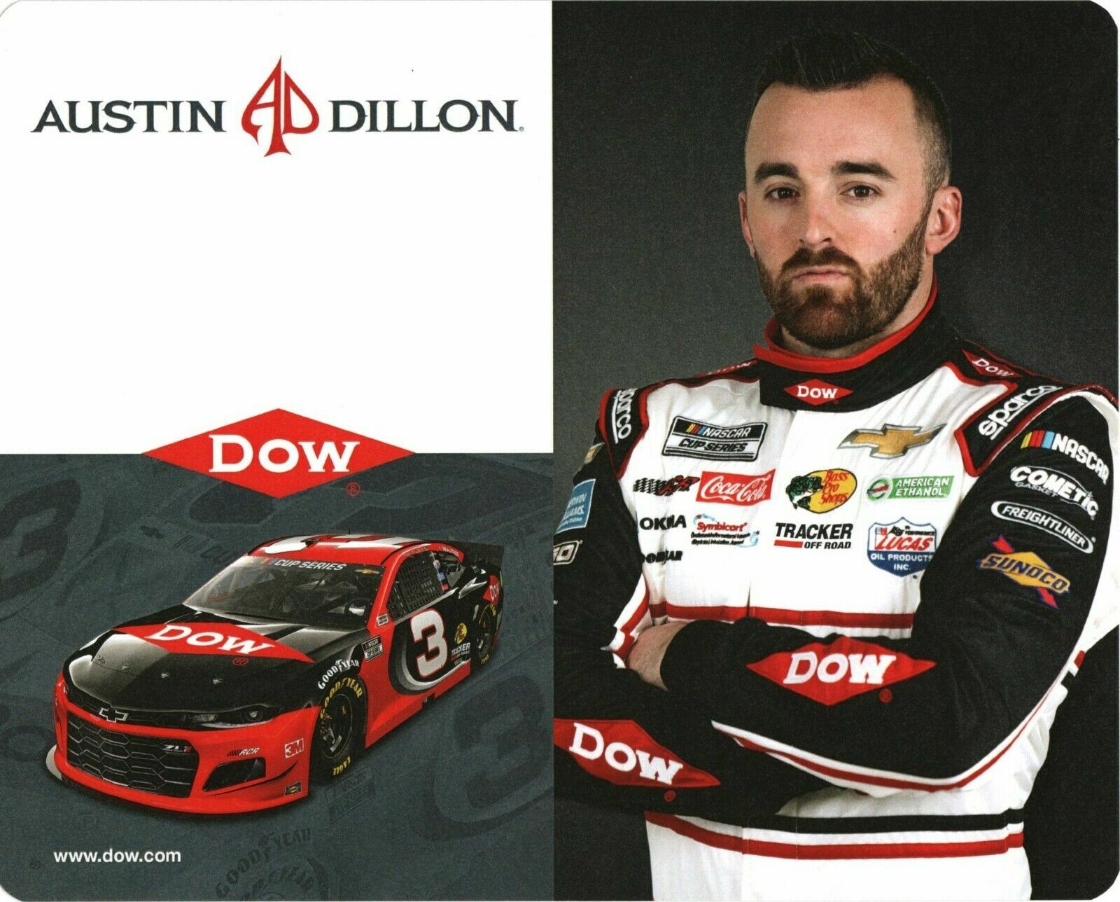 2020 AUSTIN DILLON "DOW RCR" #3 NASCAR CUP SERIES POSTCARD | eBay