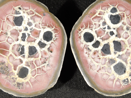 Neat Lighting Like Pattern! Split and Polished SEPTARIAN Nodule Morocco ...