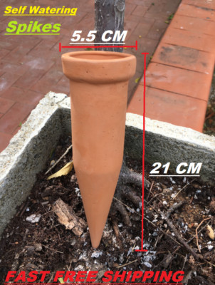 Self Watering Terracotta Spikes Devices for garden and in home saving ...
