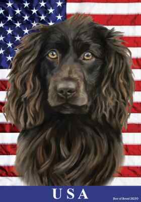 Boykin Spaniel All-American II Flag | eBay