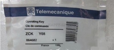 Limit Switch Schneider Actuating Key ZCKY08 Brand New fv | eBay