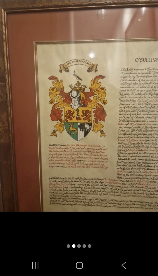 An Early 20thC, Antique Genealogy of sullivan Clan, 9th to 19thC Framed ...