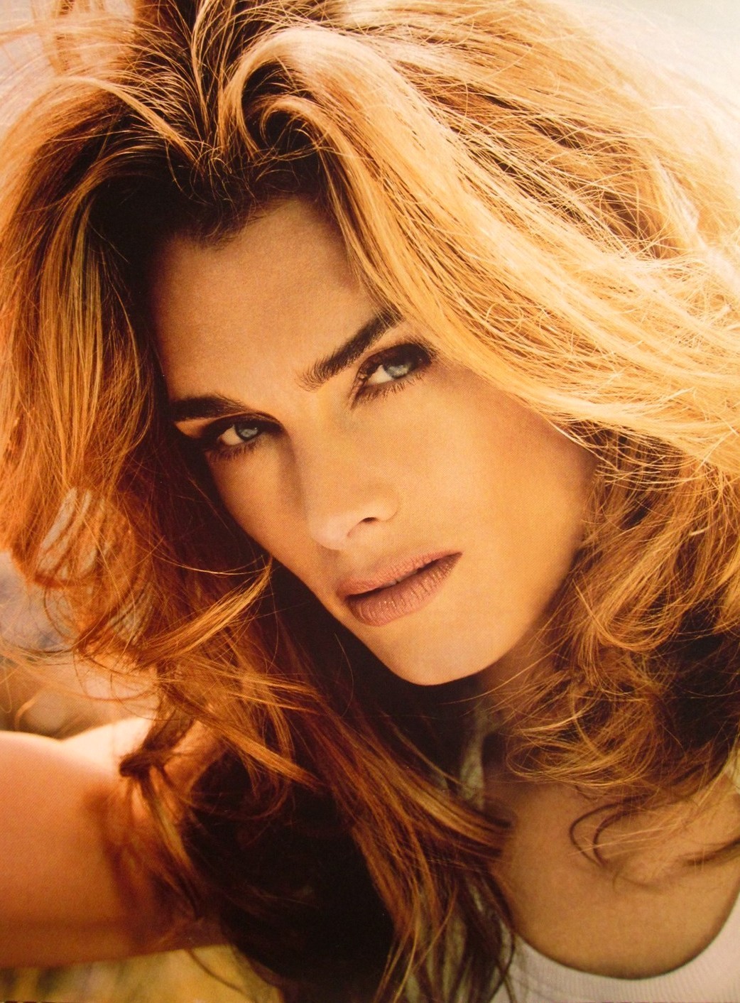 BROOKE SHIELDS headshot 3 poses actress color clippings sexy 3 sheets ...