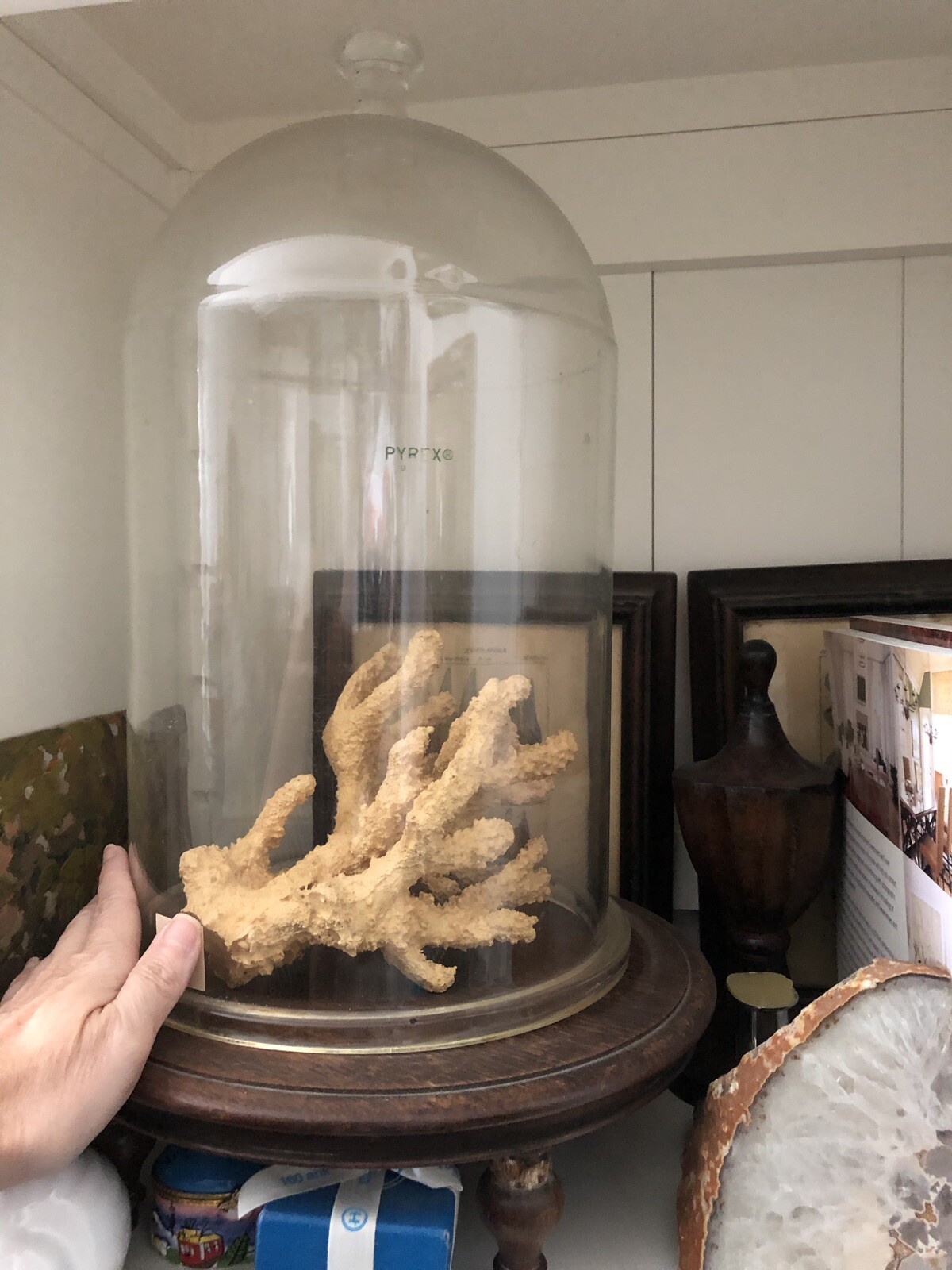 Vintage Rare Tall 17 Inch Pyrex Glass Bell Jar Apothecary Dome Cloche ...