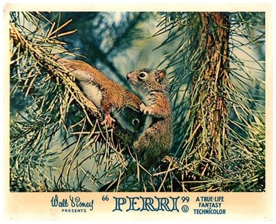 Perri Original Lobby Card Walt Disney True Life Fantasy Tree Squirrels ...