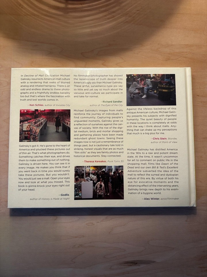 The Decline Of Mall Civilization by Michael Galinsky. Sealed 2nd ...