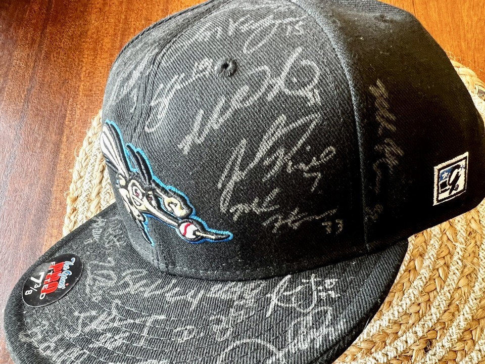 Sugar Land Skeeters National Champions Autographed Hat | eBay