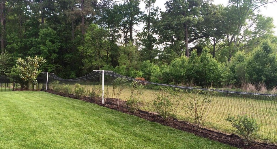 Poultry Netting 25' x 25' 1" Heavy Knotted Aviary Nets Anti Bird ...