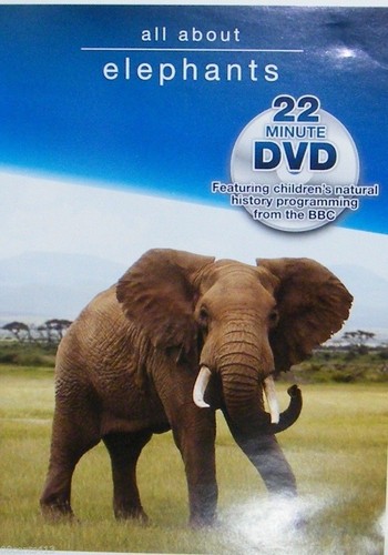 All About Elephants Educational (DVD, Full Screen, 2008) | eBay